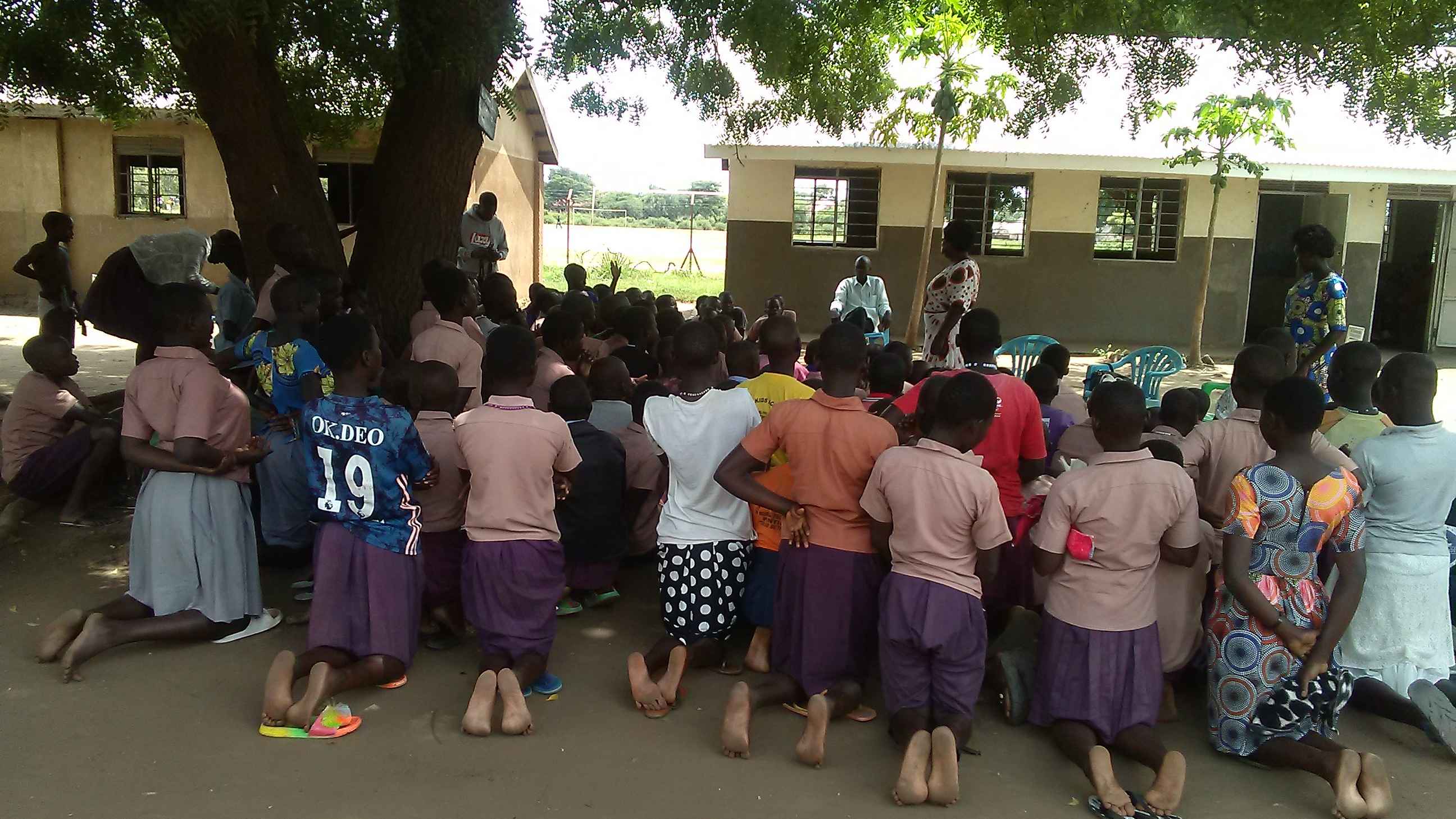 Education the wild journey