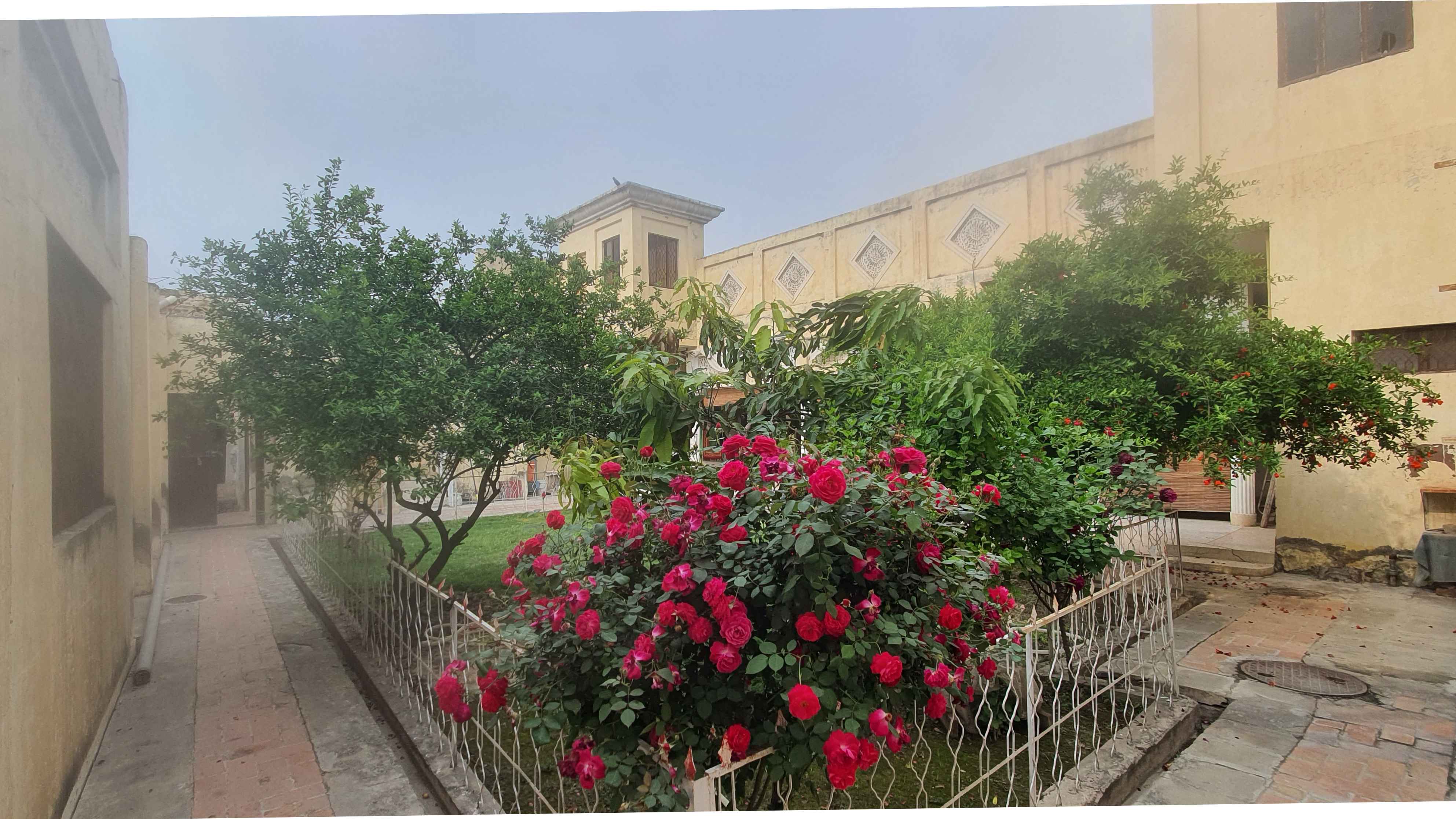 Healthcare Facility for Women/Children in Bannu,KP