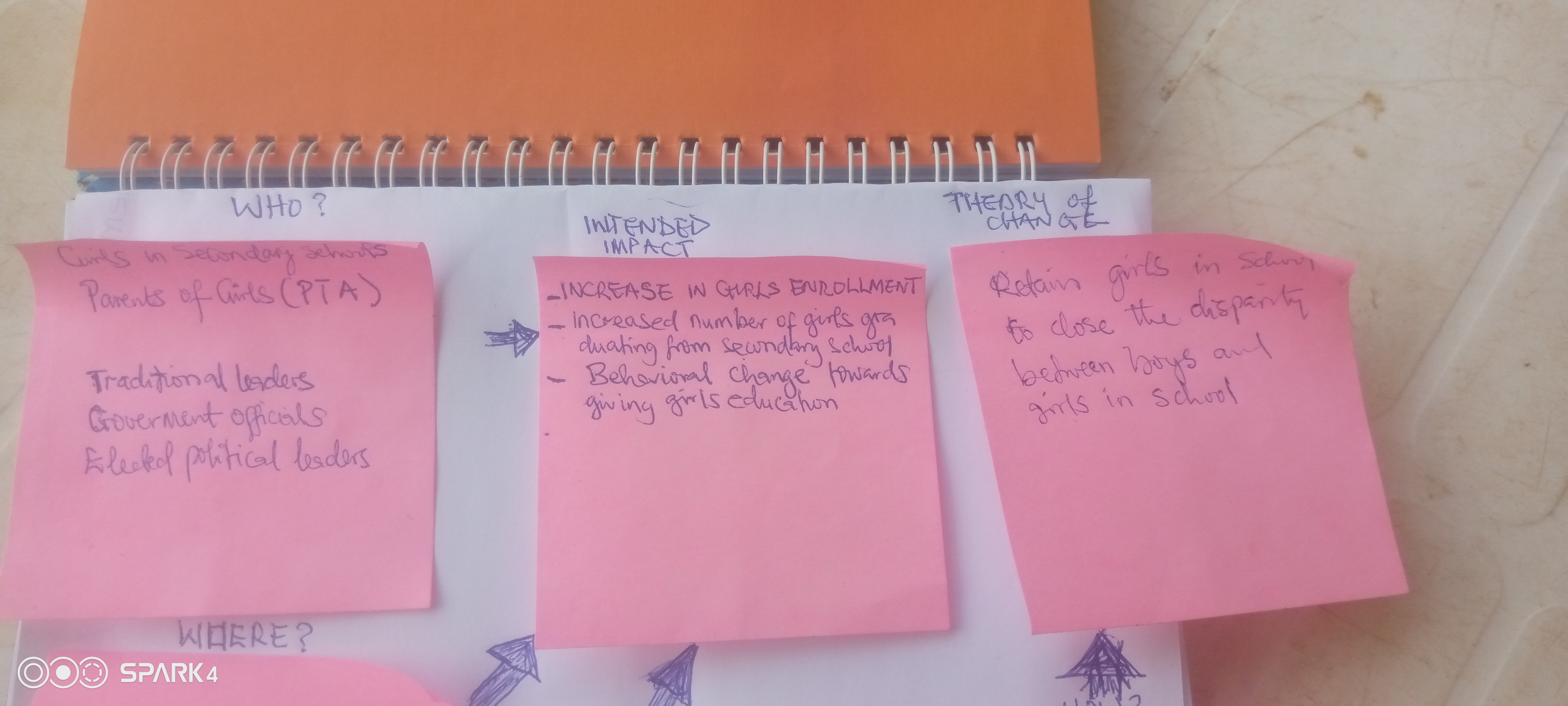 My Theory of Change using the " what if" model.