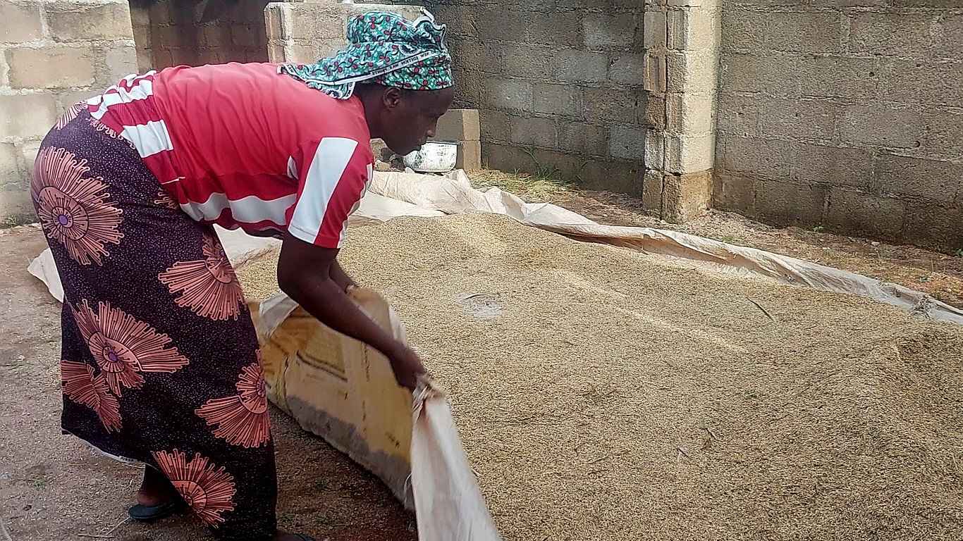 From Conflict to Calm: The Rebirth of a Resilient Woman