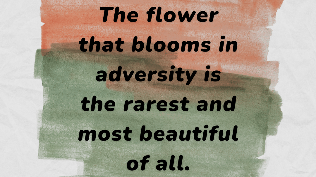 Embracing Adversity: The Path to Unshakable Growth