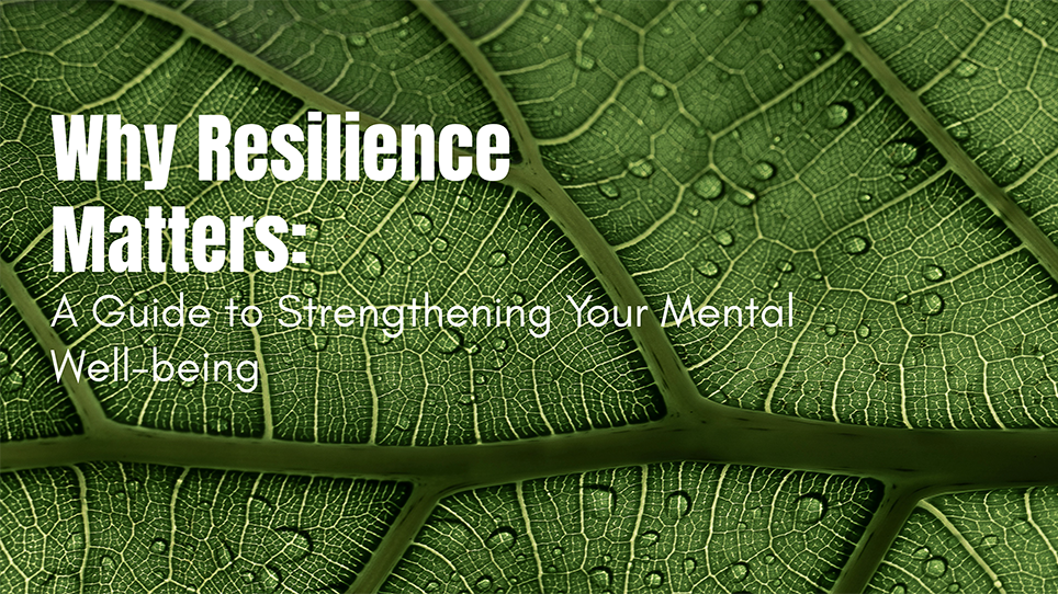Why Resilience Matters: A Guide to Strengthening Your Mental Well-being