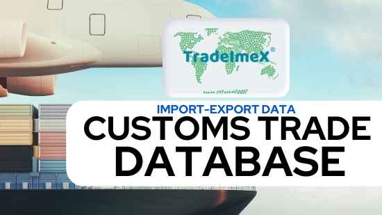 How Customs Data Drives Efficiency in International Trade