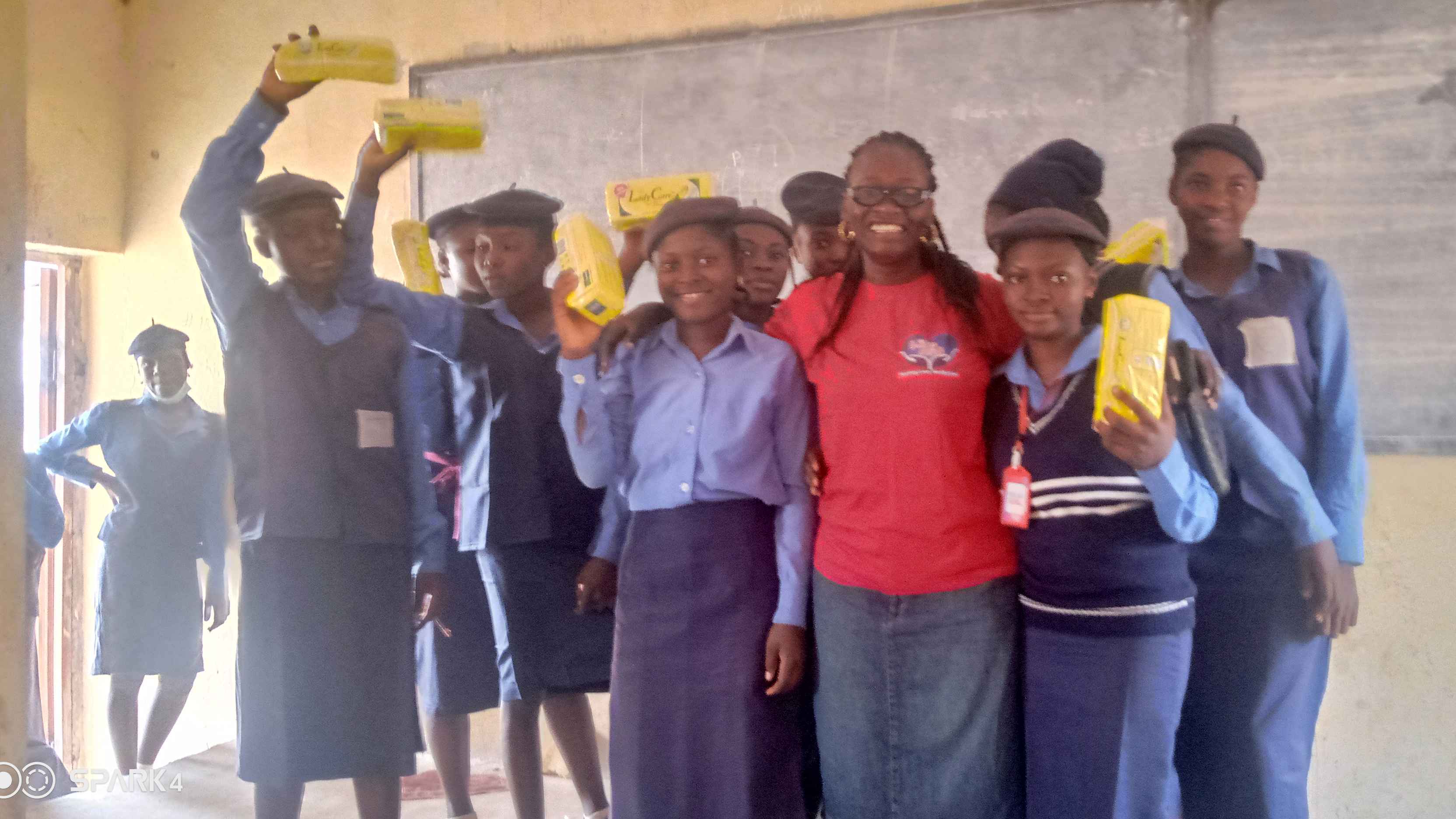 My Theory of Change using the " what if" model.