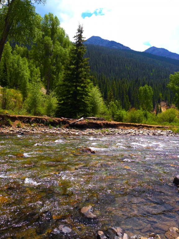 Module 2 reflections