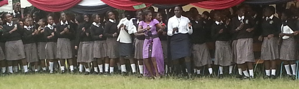 Looking Back, to Forge Ahead