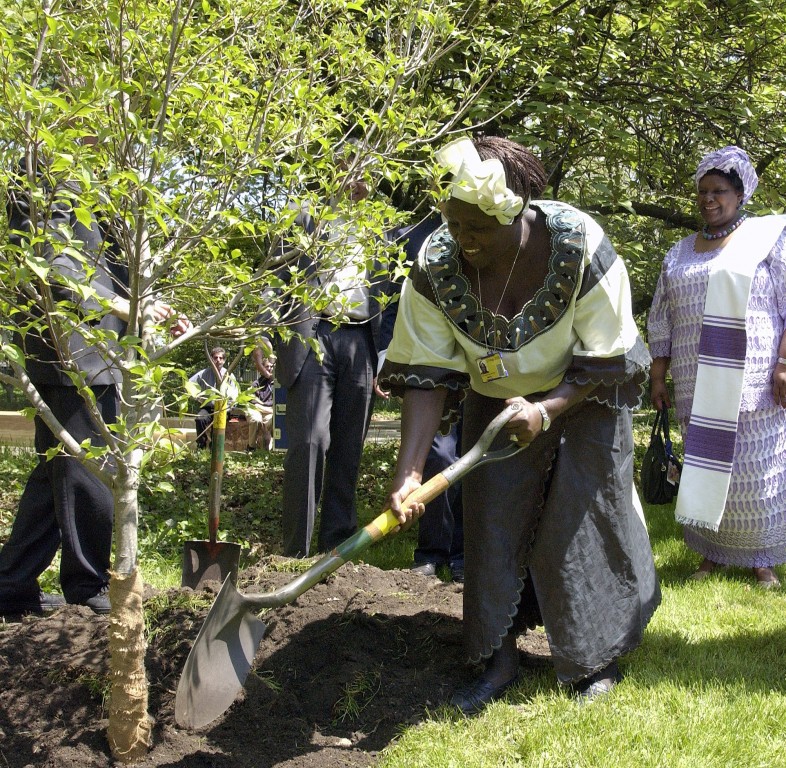 Singing Her Legacy: Join World Pulse in Joyful Celebration of Wangari ...