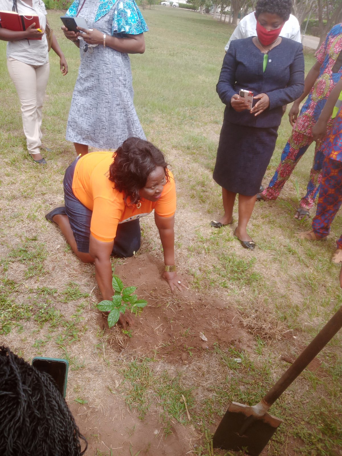 Tree Gender Equality