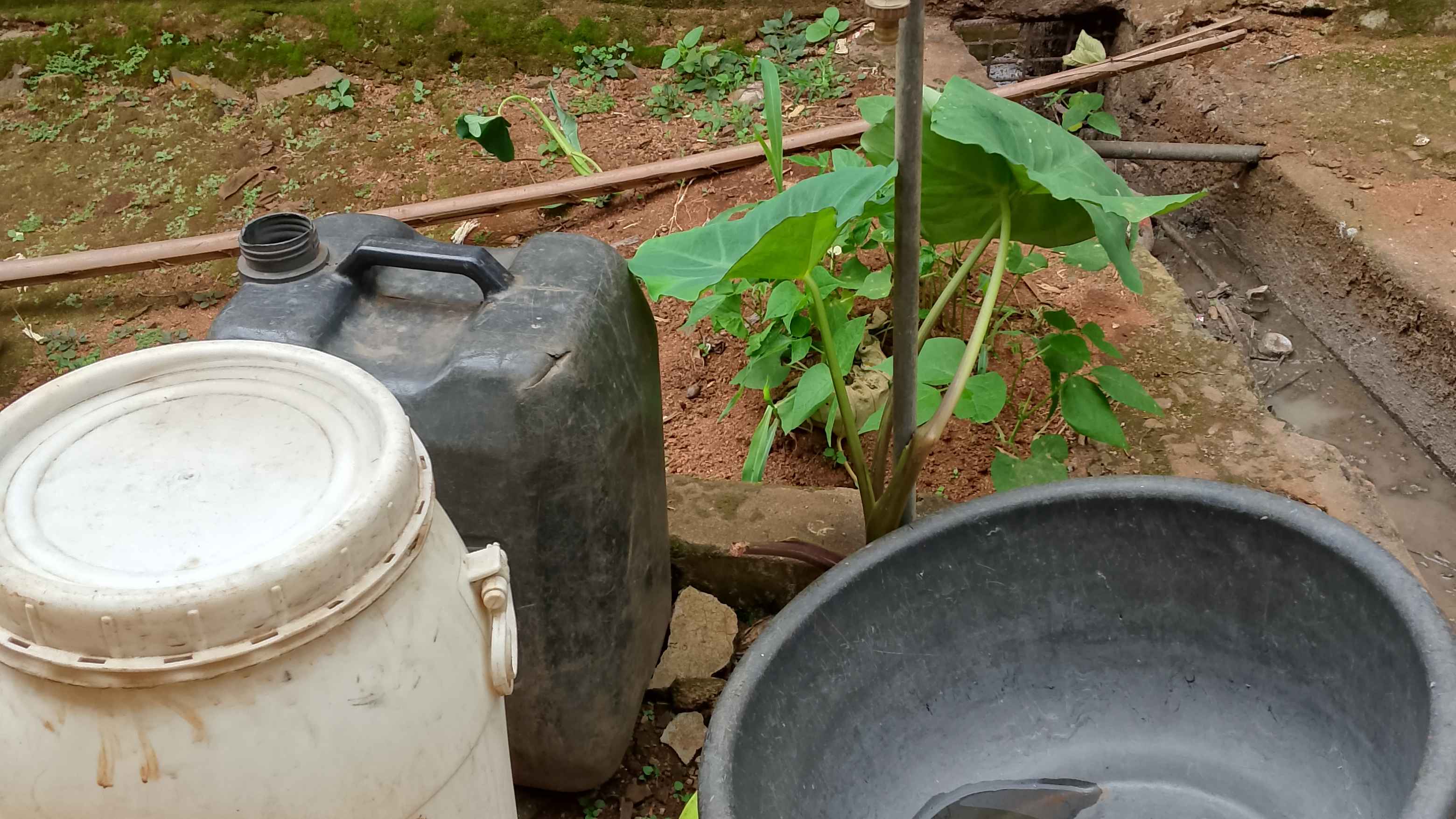 Dry taps, no water, no life. The struggle for clean water in our community.