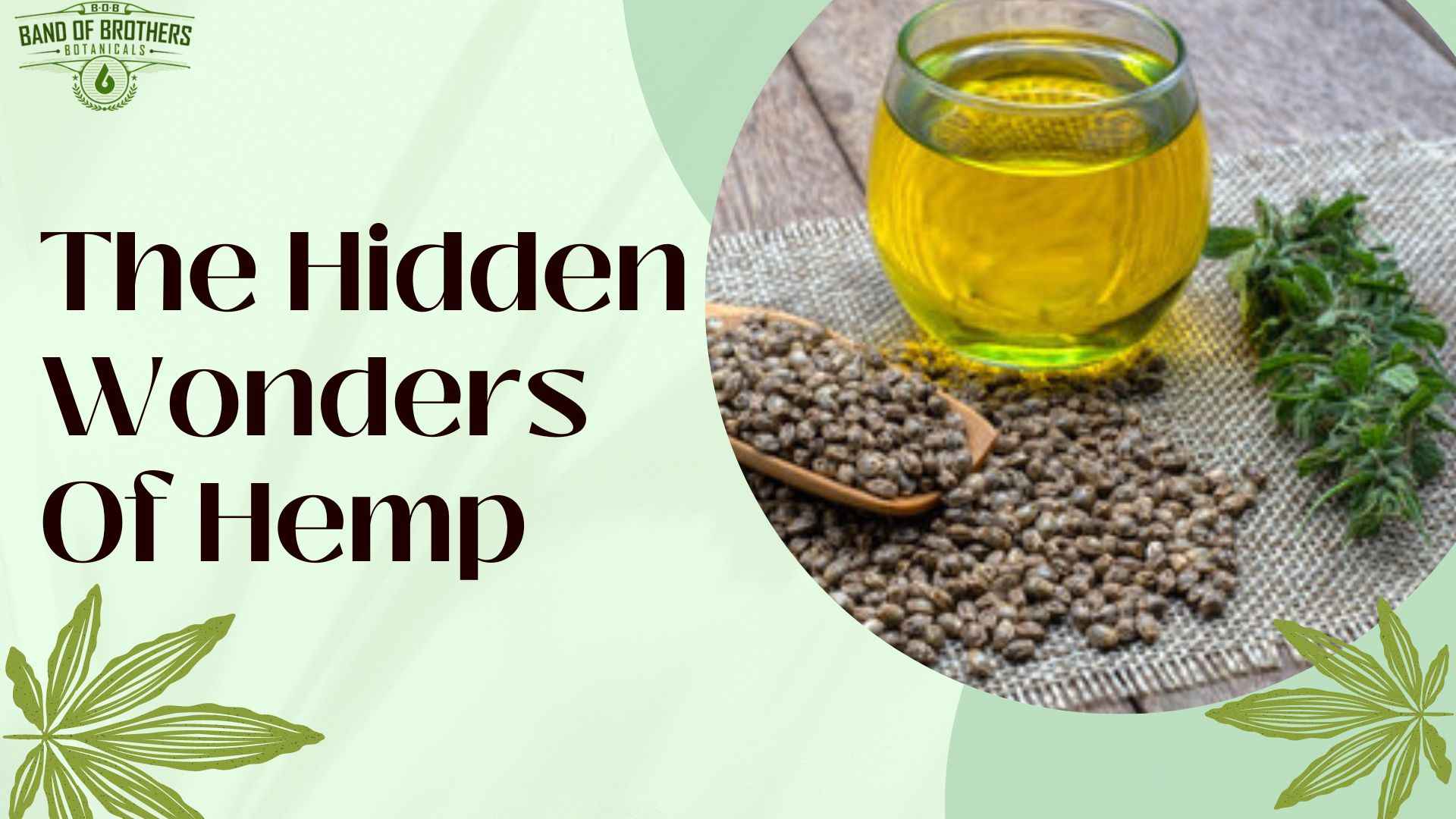 The Hidden Wonders Of Hemp