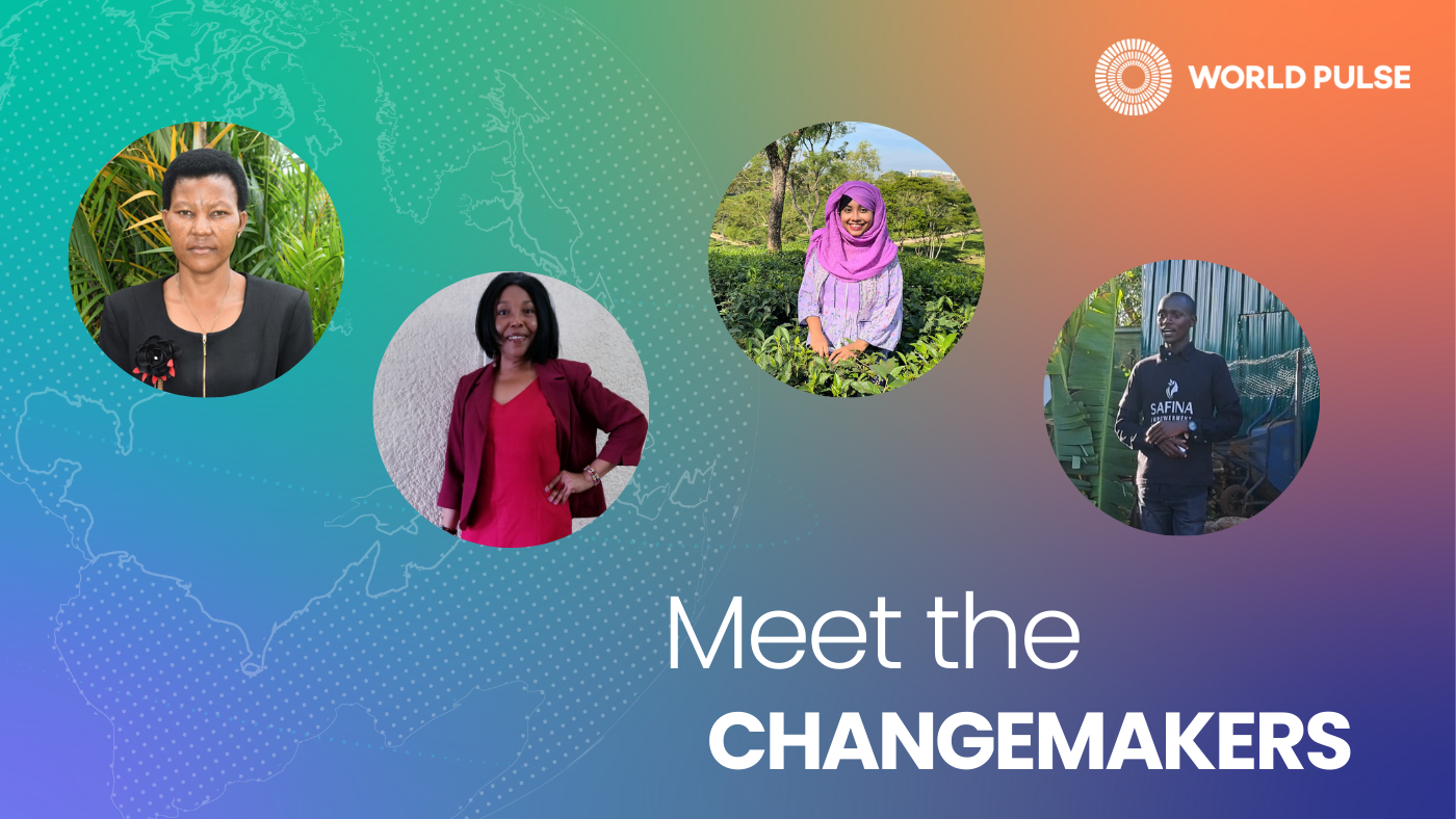 Four World Pulse Changemakers Creating a Better World