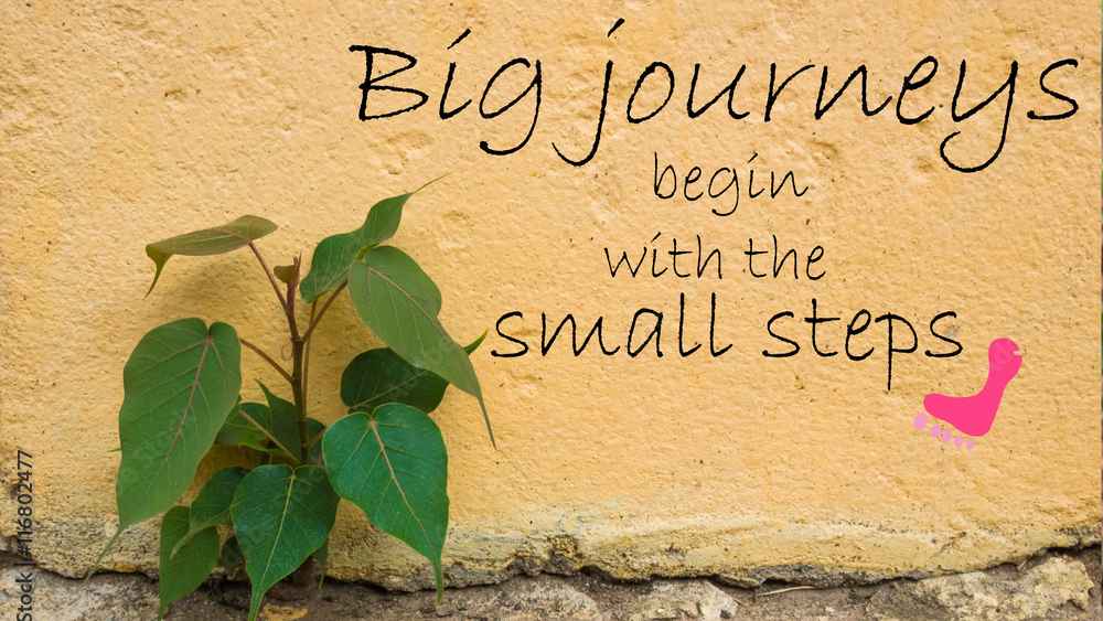 - Small Steps, Big Change: A Daily Eco-Journey🪴